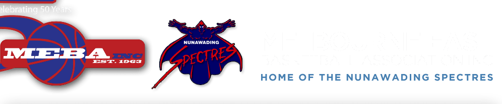 Advanced - MEBA Mockup SIte 2 - GameDay