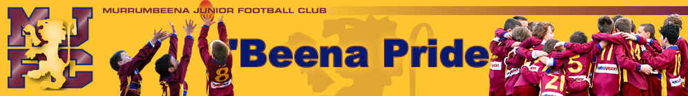 Under 10 Lions Coaching Panel - Murrumbeena JFC - GameDay